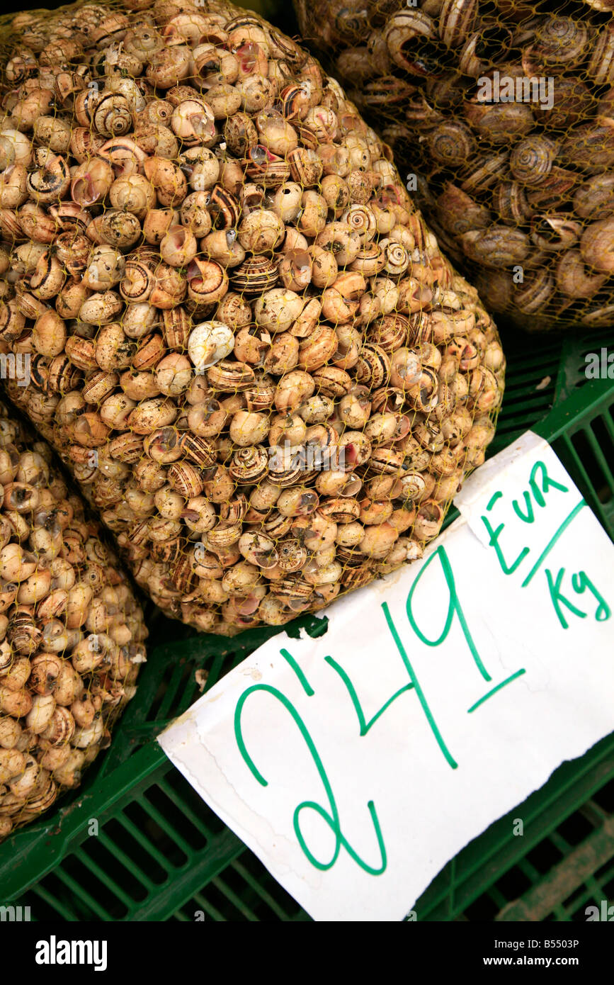 Snails for sale hi-res stock photography and images - Alamy