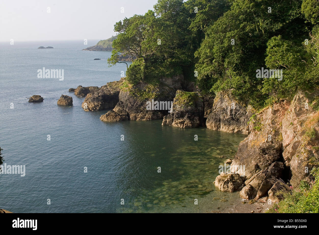 Dartmouth Dart River Estuary English Channel Devon Great Britain United ...