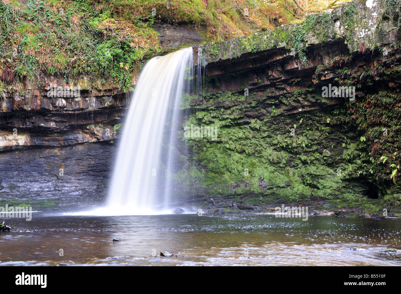 Autumn at Sgwd Gwladys Waterfall Ystradfellte Brecon Beacons National ...