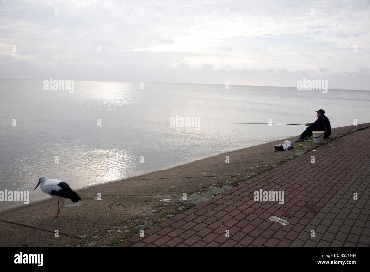 Lithuanian stork hi-res stock photography and images - Alamy