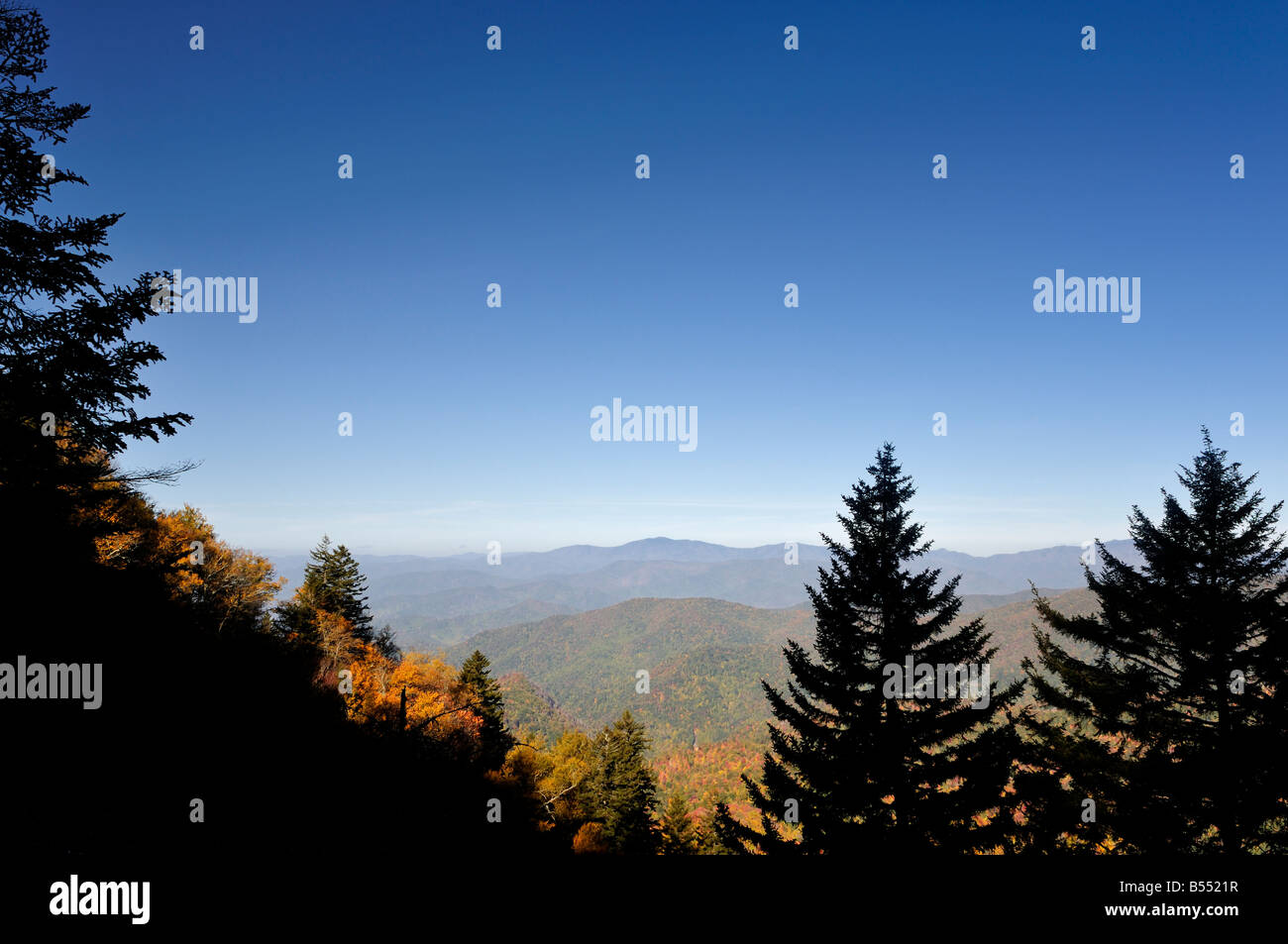 Cranberry Ridge on Blue Ridge Parkway, North Carolina, USA, in early ...