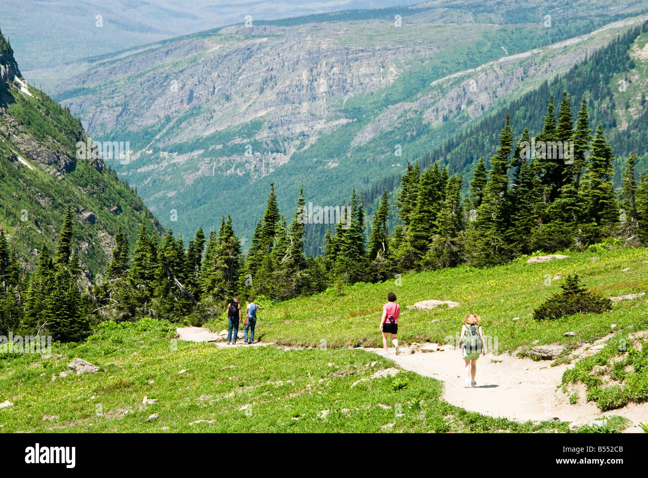 hikers on Highline Trail at Logan Pass in Glacier National Park Stock ...