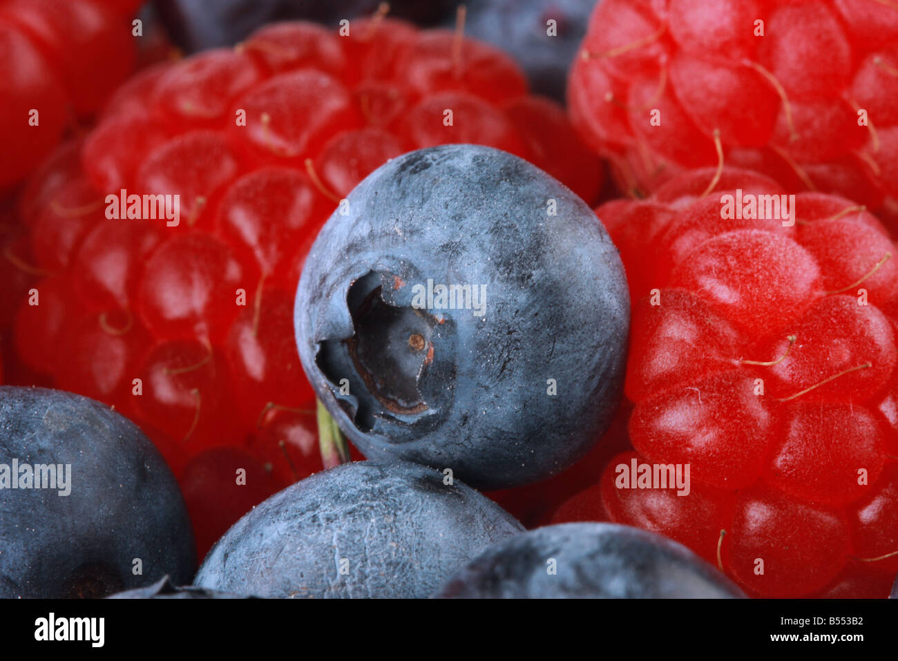 blueberry and raspberry shot in studio Stock Photo - Alamy