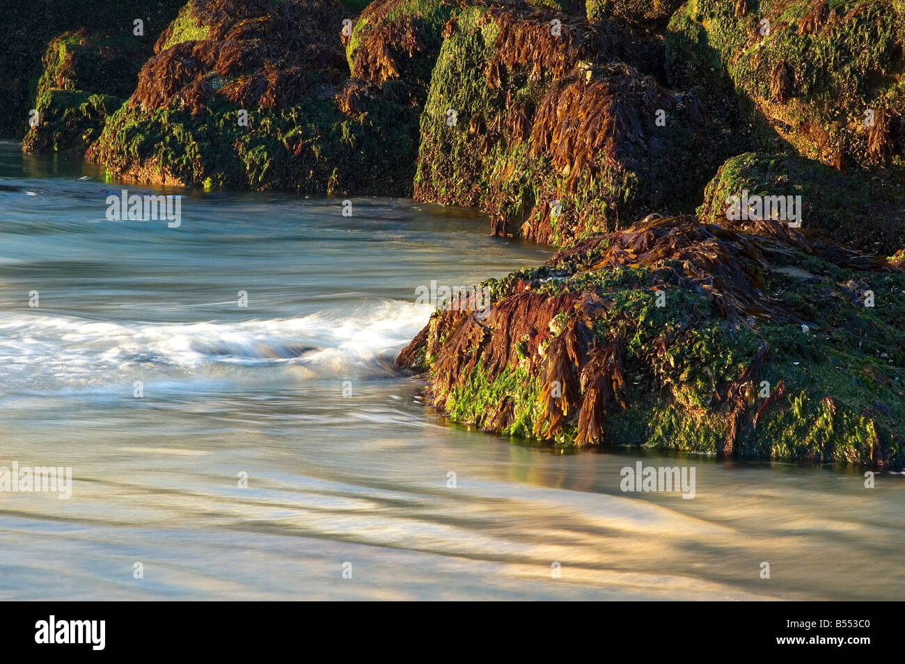 Waves breaking against the rocks Stock Photo - Alamy