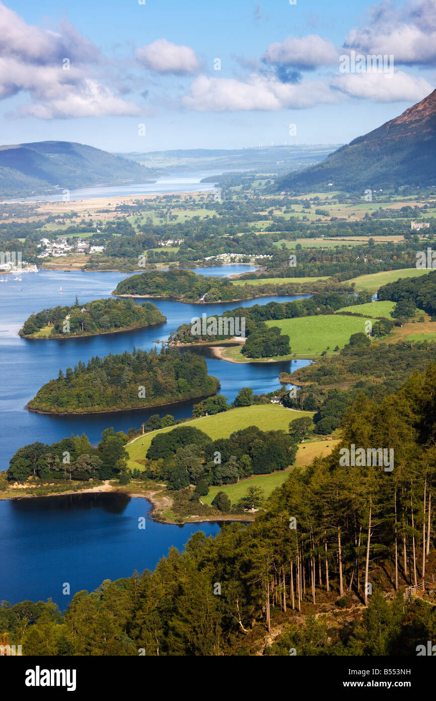 Newlands forest hi-res stock photography and images - Alamy