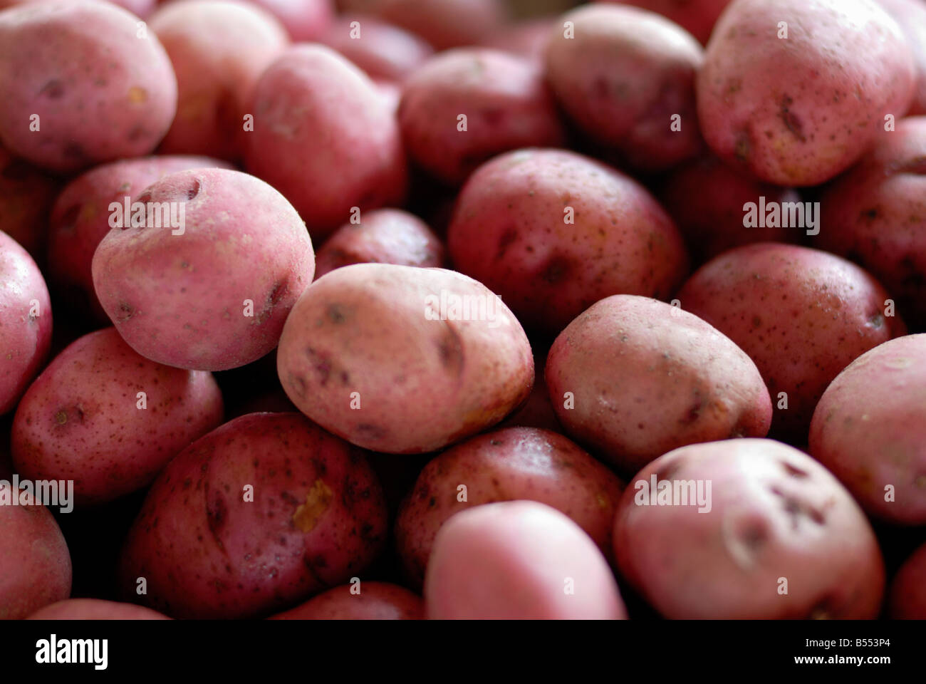 Tuber market hi-res stock photography and images - Alamy