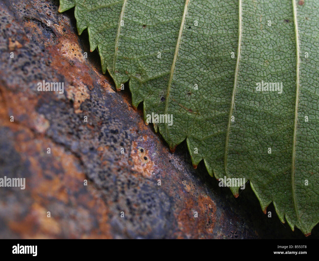 The rock triangle hi-res stock photography and images - Alamy