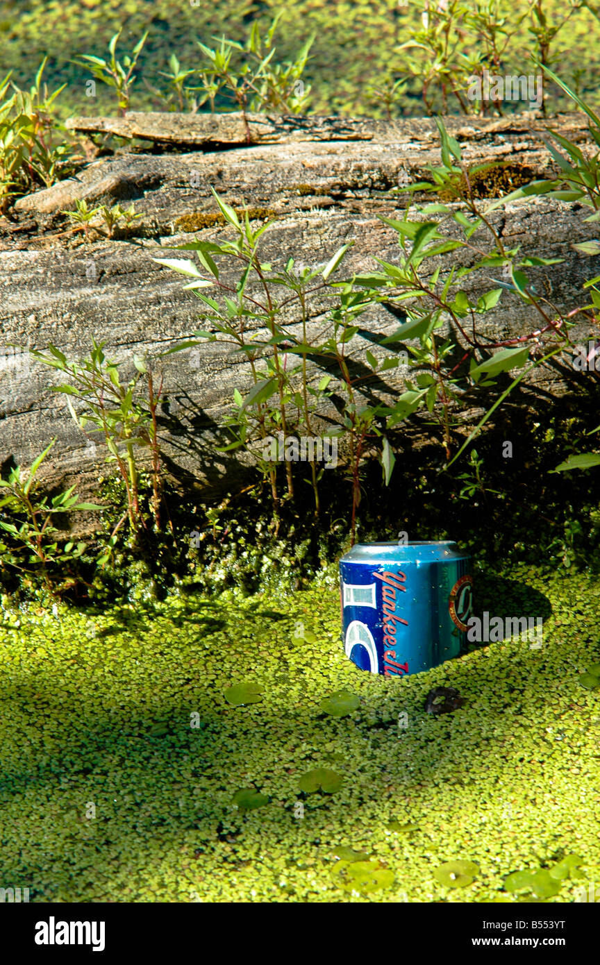 A pop can thrown into a swamp Stock Photo - Alamy