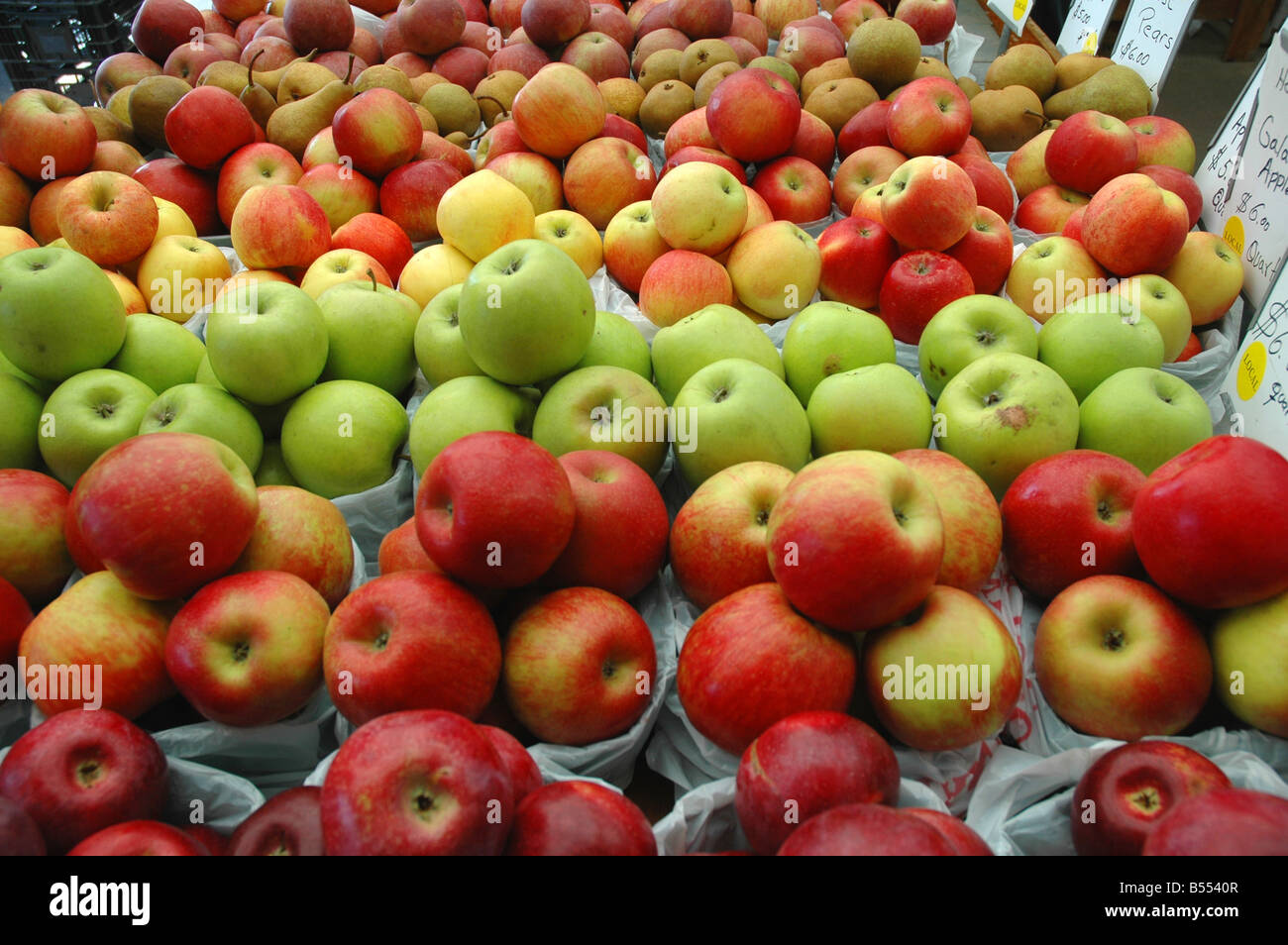 Varieties of apples hi-res stock photography and images - Alamy