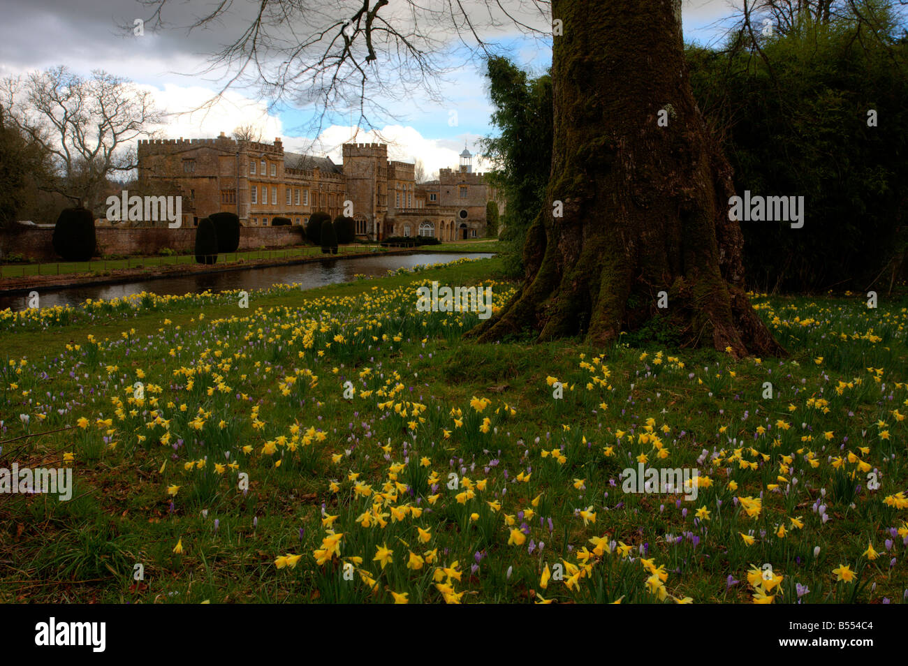Dorset border hi-res stock photography and images - Alamy
