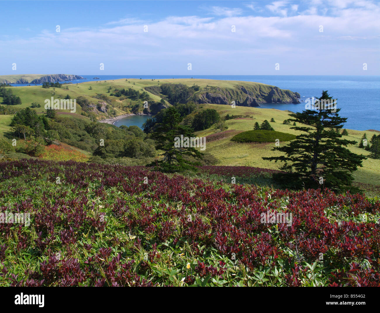 Kuriles island hi-res stock photography and images - Alamy