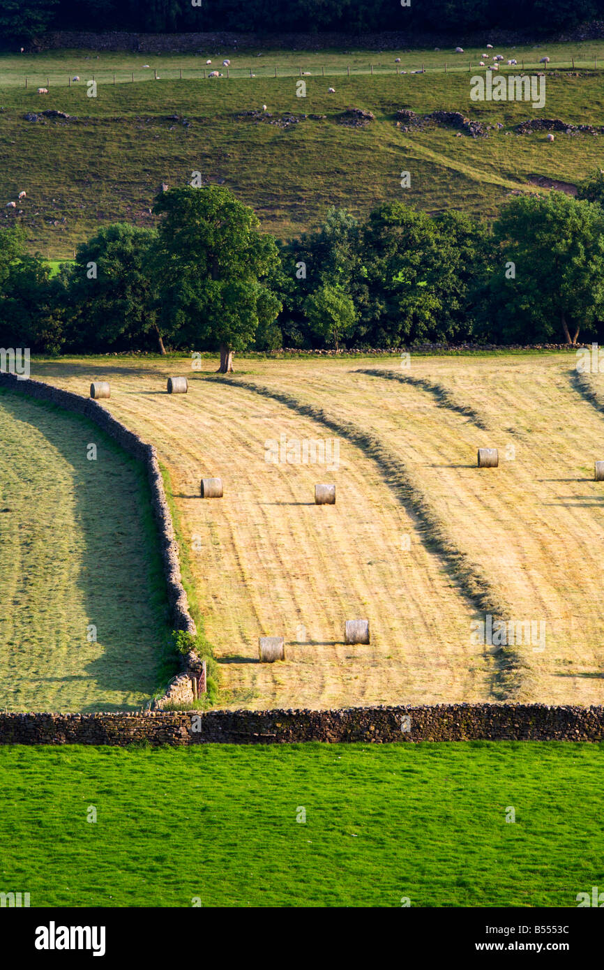 Haymaking yorkshire dales hi-res stock photography and images - Alamy