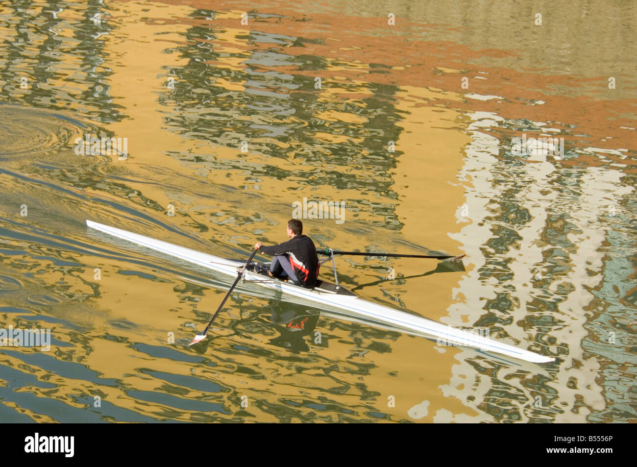 A single rower rowing along the Arno river in Florence Stock Photo - Alamy