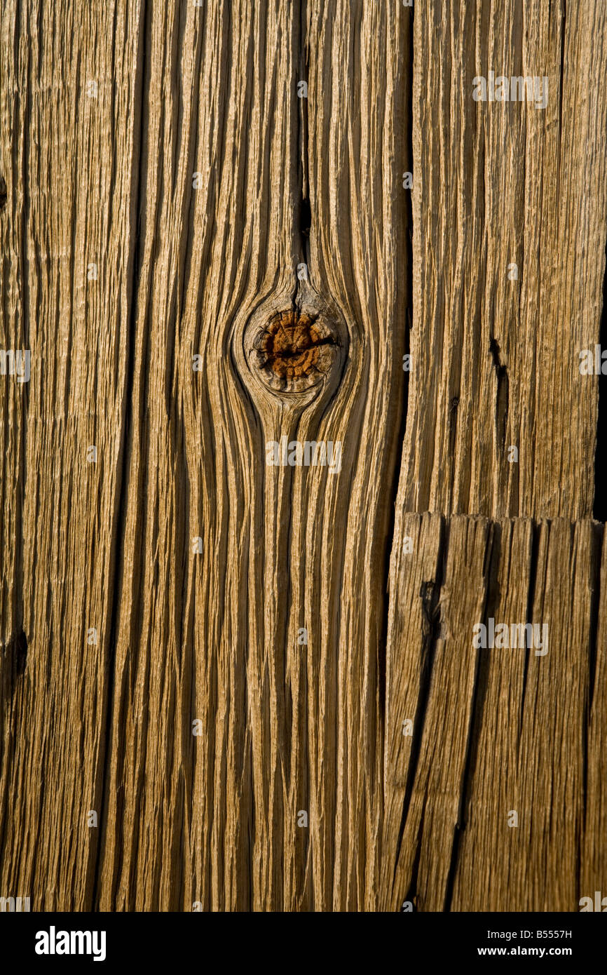Detail gnarled knotted wood in hi-res stock photography and images - Alamy