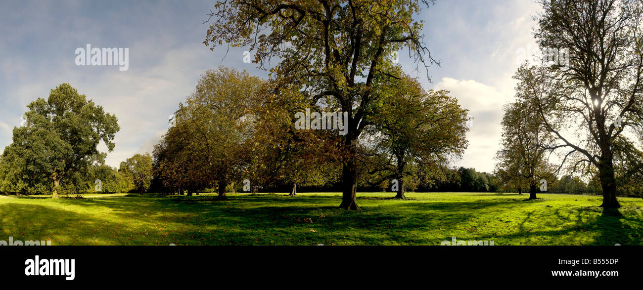a country estate with field and trees Stock Photo - Alamy