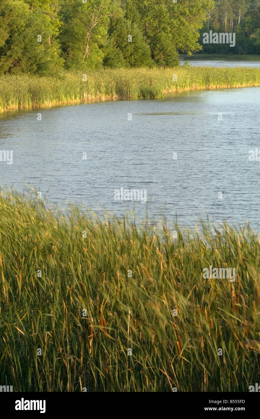 Marsh and forest at sunset Blind Ash Bay Blind Ash Bay Trail Voyageurs ...