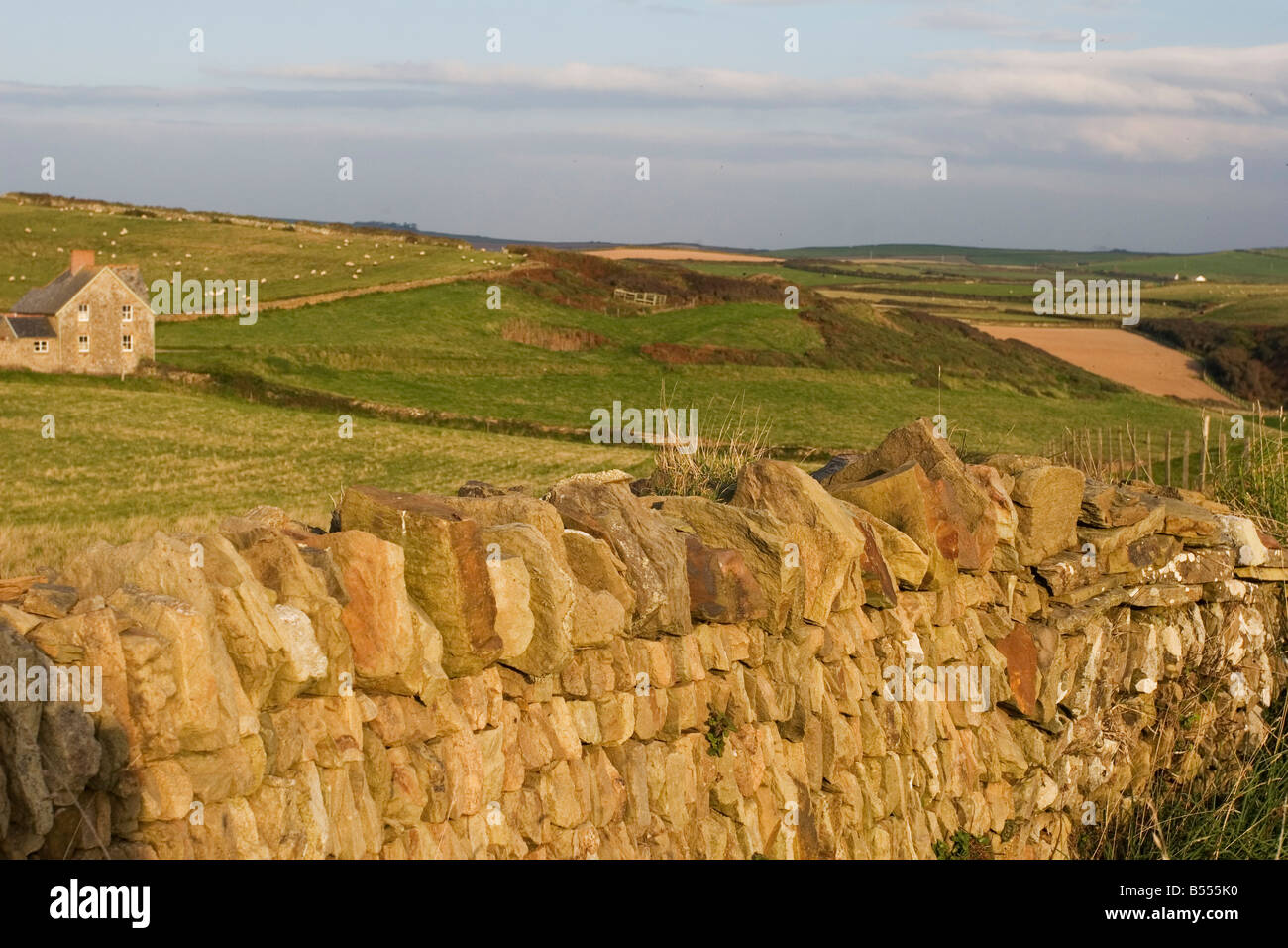 Devon farmhouse hi-res stock photography and images - Alamy