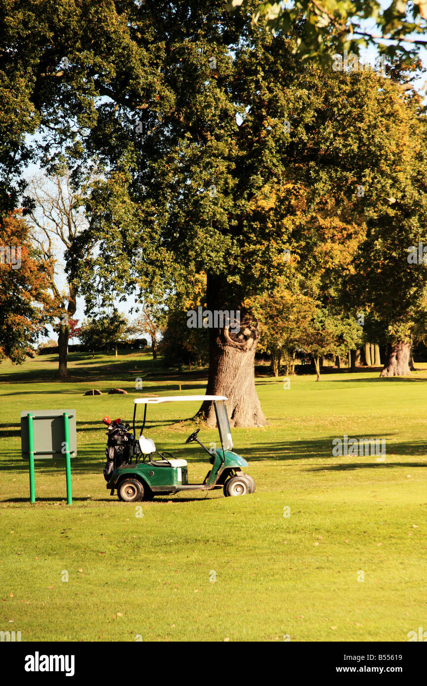 A green golf cart stands on a golf course with an oak tree behind Stock ...
