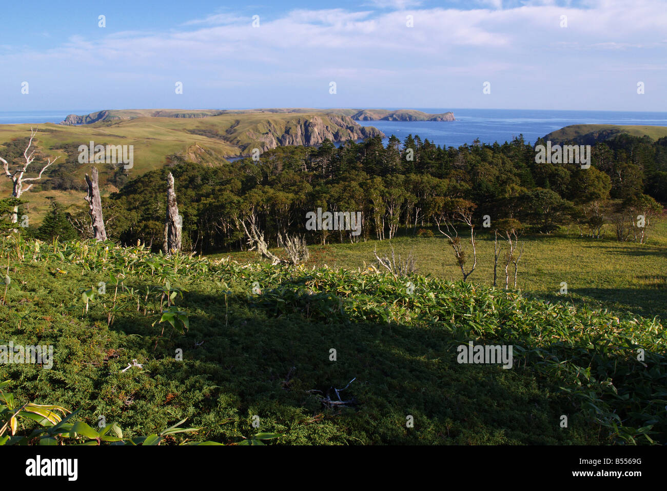 Shikotan island landscape Stock Photo - Alamy