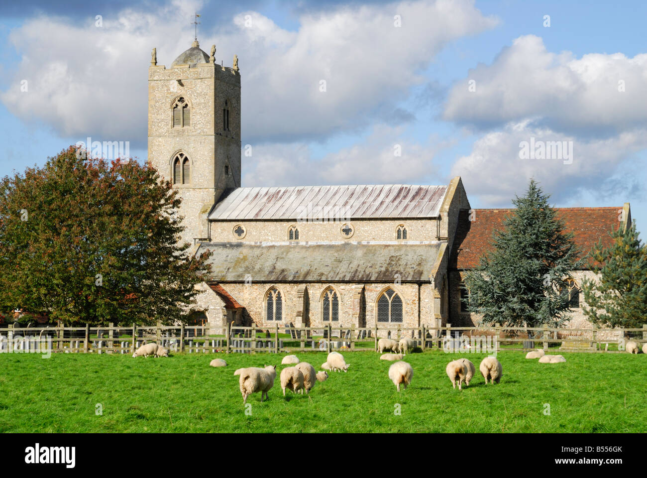 Church with sheep hi-res stock photography and images - Alamy