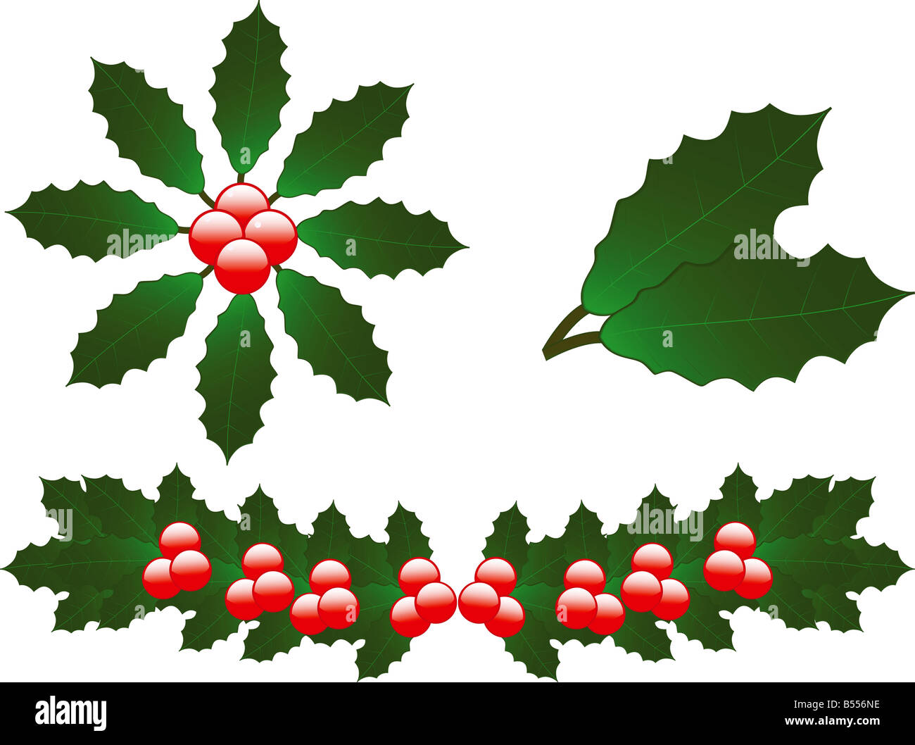 Holly design hi-res stock photography and images - Alamy