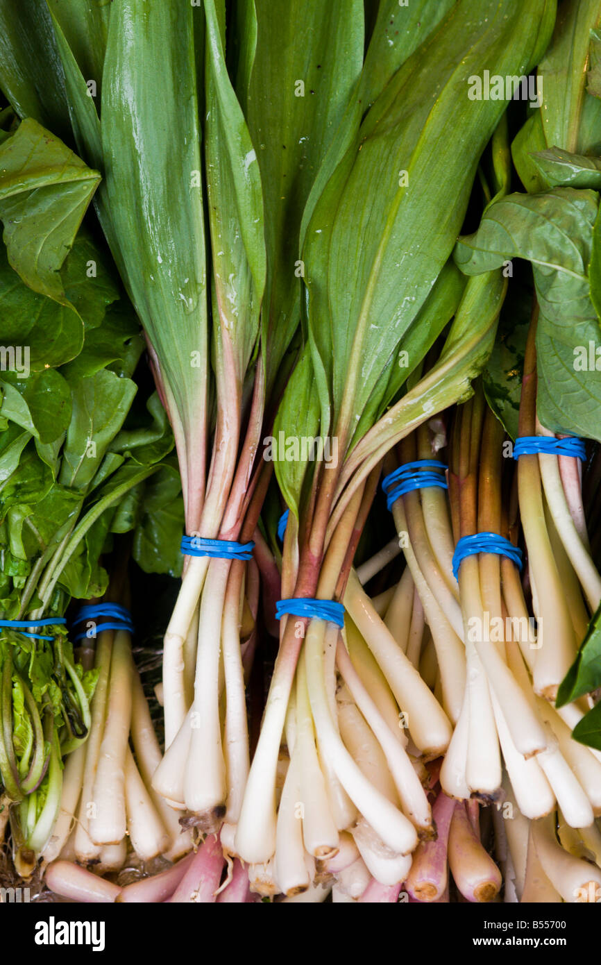 Shallots spring onions hi-res stock photography and images - Alamy