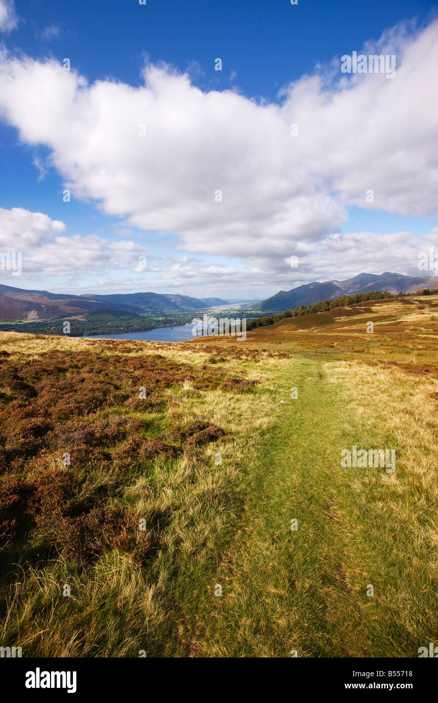 Bleaberry hi-res stock photography and images - Alamy