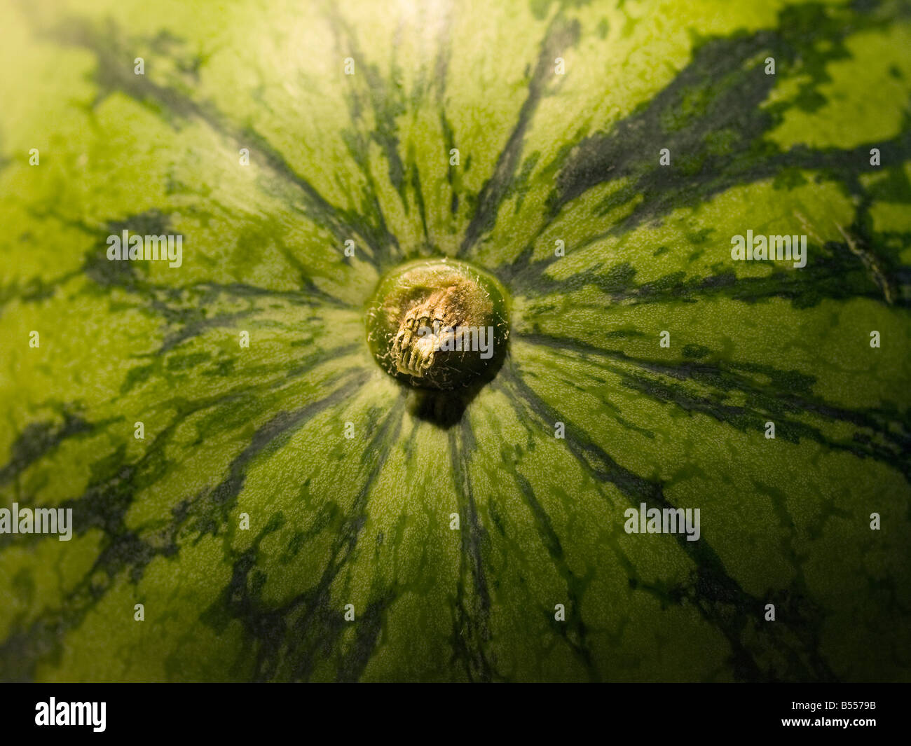 watermelon rind up close Stock Photo - Alamy