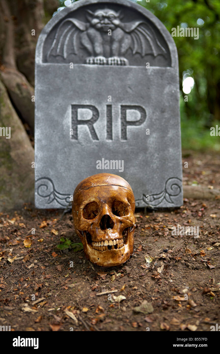 Stone age living human hi-res stock photography and images - Alamy