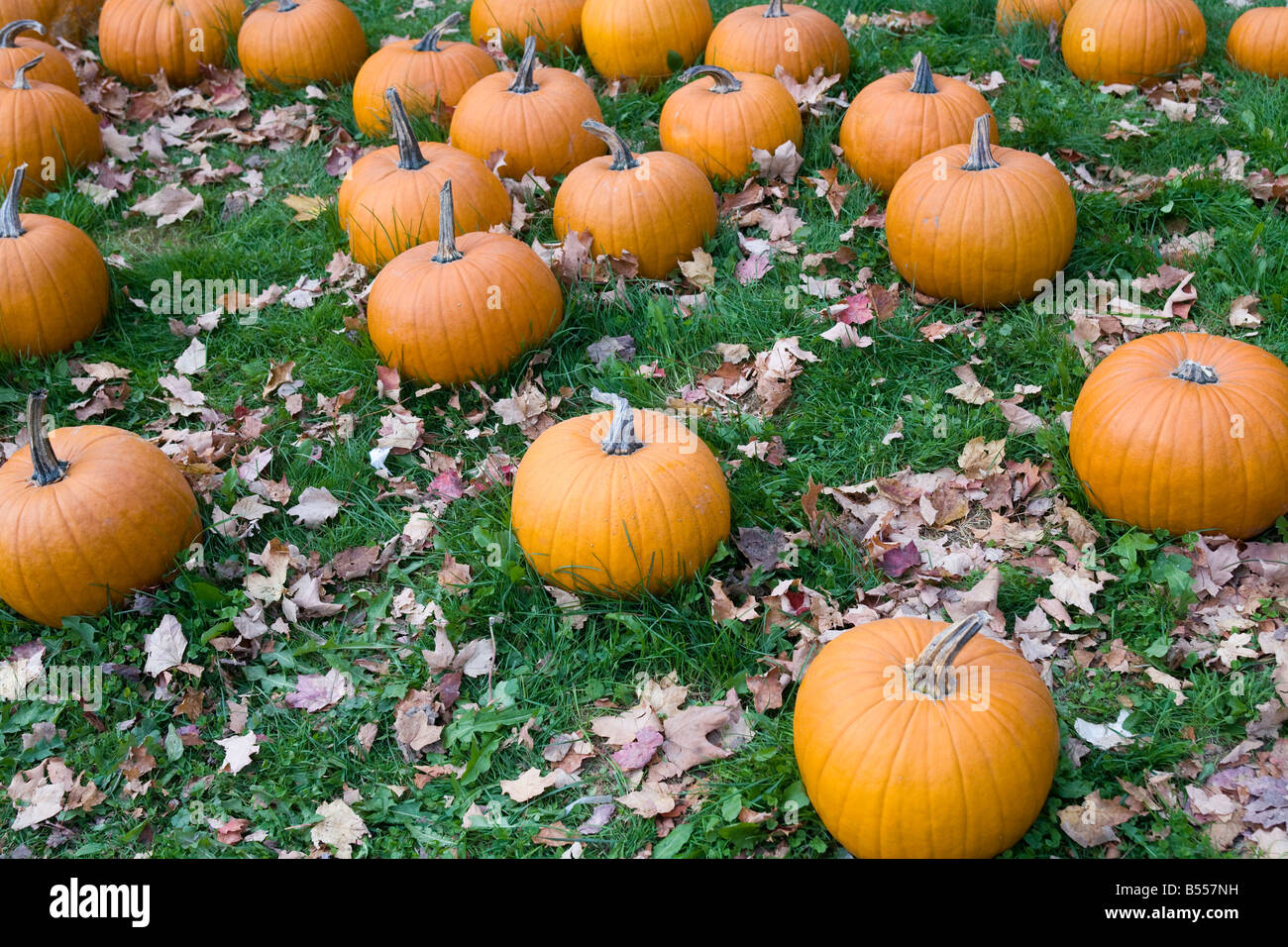 Vermont autumn killington hi-res stock photography and images - Alamy