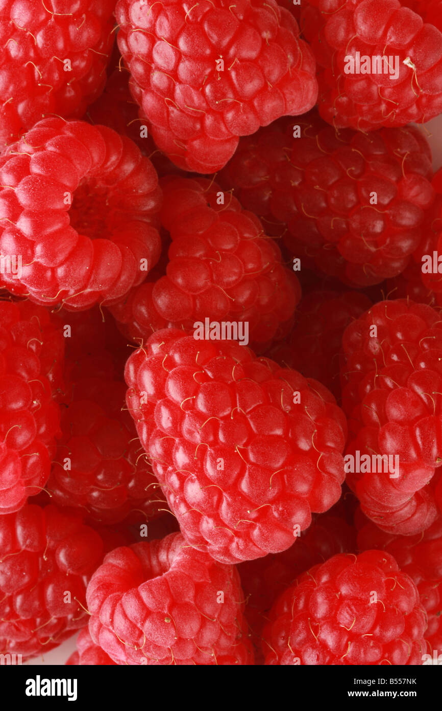bunch of fresh raspberries shot in studio great for backgrounds Stock ...