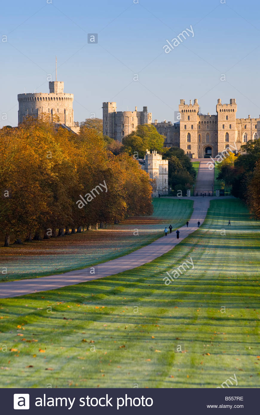 The Long Walk Windsor Autumn High Resolution Stock Photography and ...