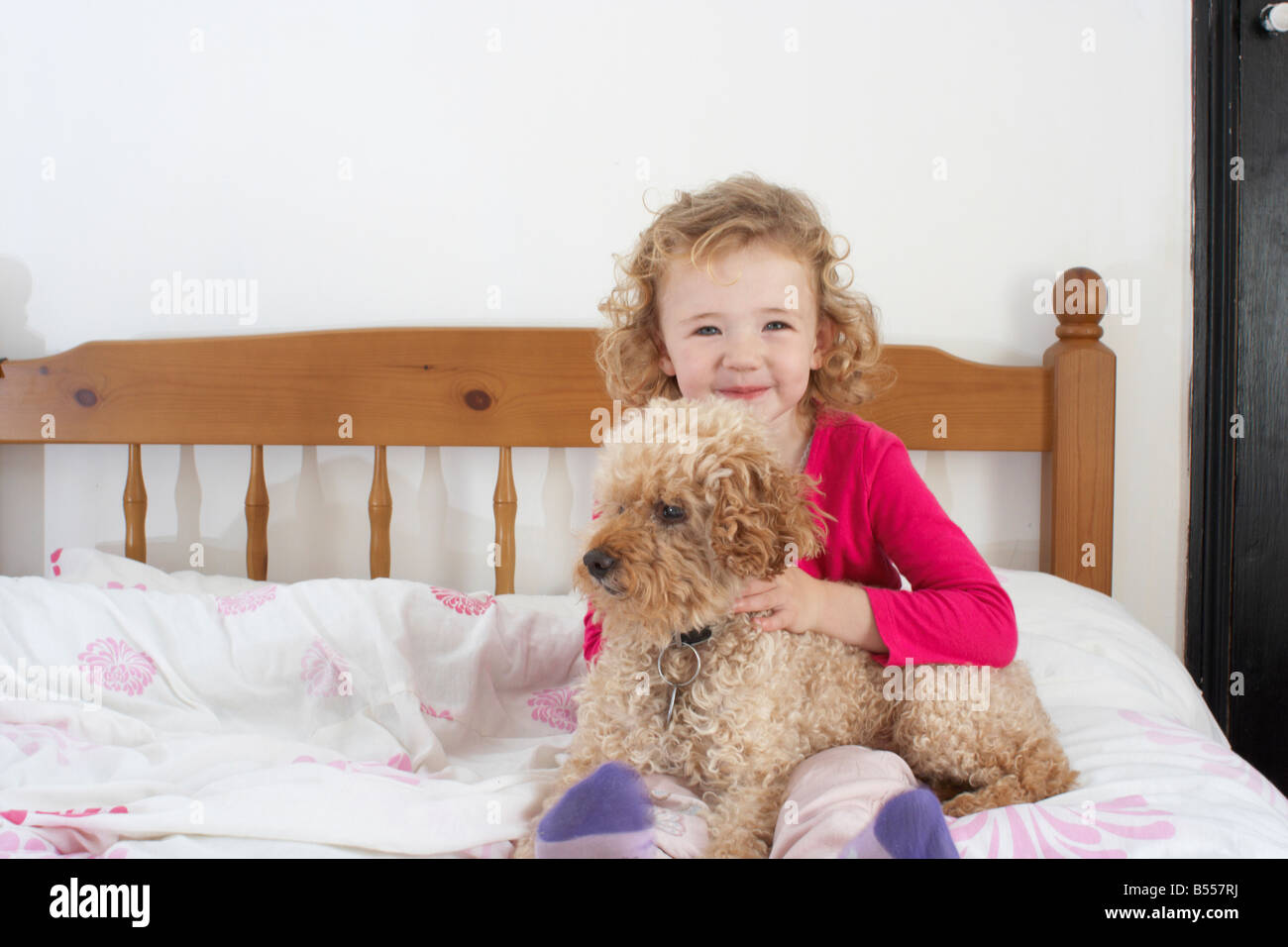 little girl with her poodle Stock Photo - Alamy