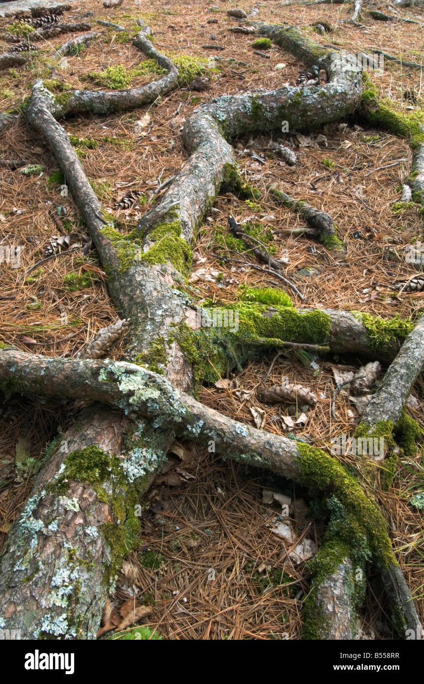 Thousand islands np hi-res stock photography and images - Alamy
