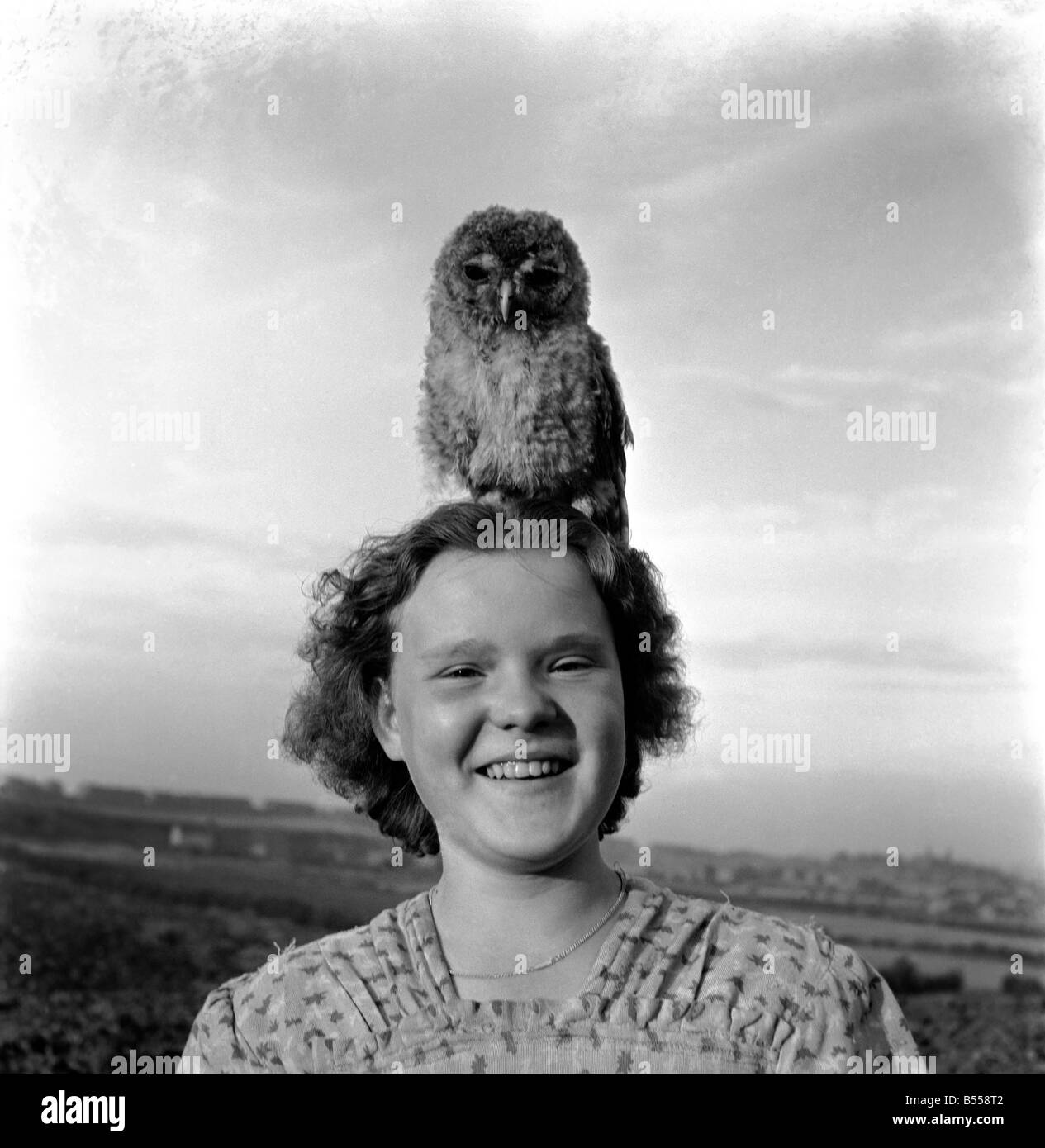 Birds Humour. On me 'ead son'. Kathleen Goddard seen with Toby the owl ...