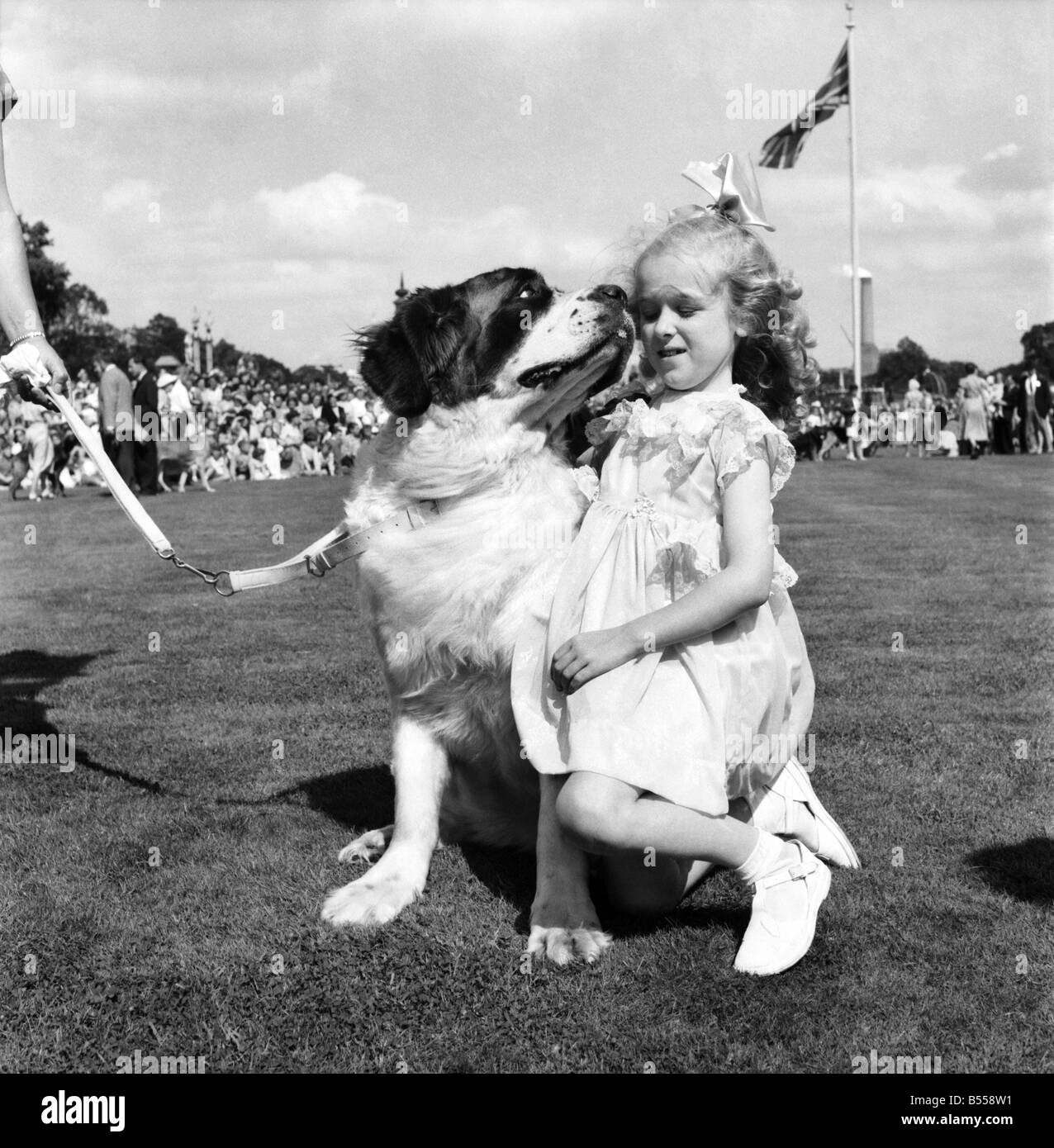 Animals Dogs Owners And Contestants Seen Here Talking Part In The animals-dogs-owners-and-contestants-seen-here-talking-part-in-the
