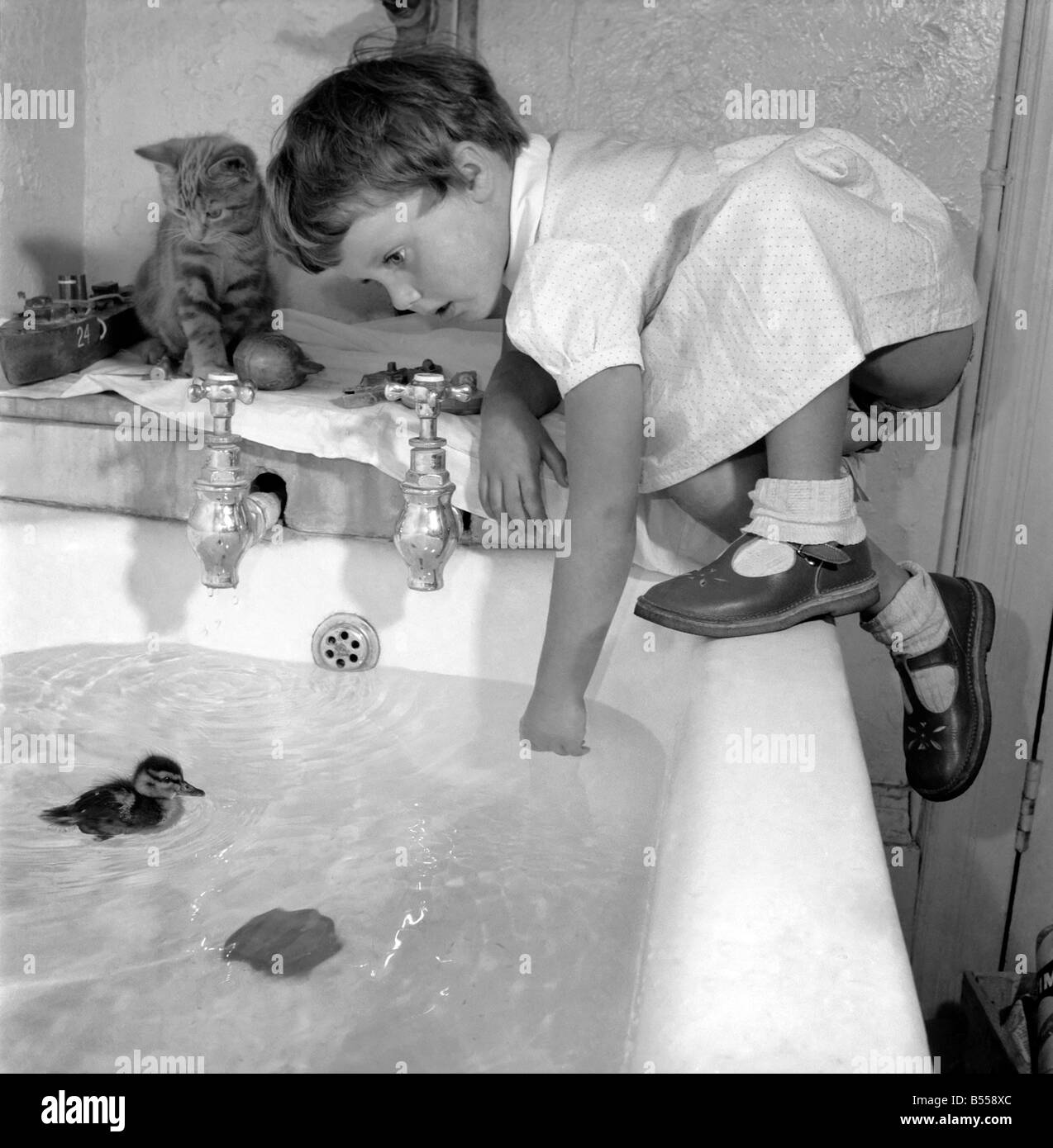 Children and birds hi-res stock photography and images - Alamy