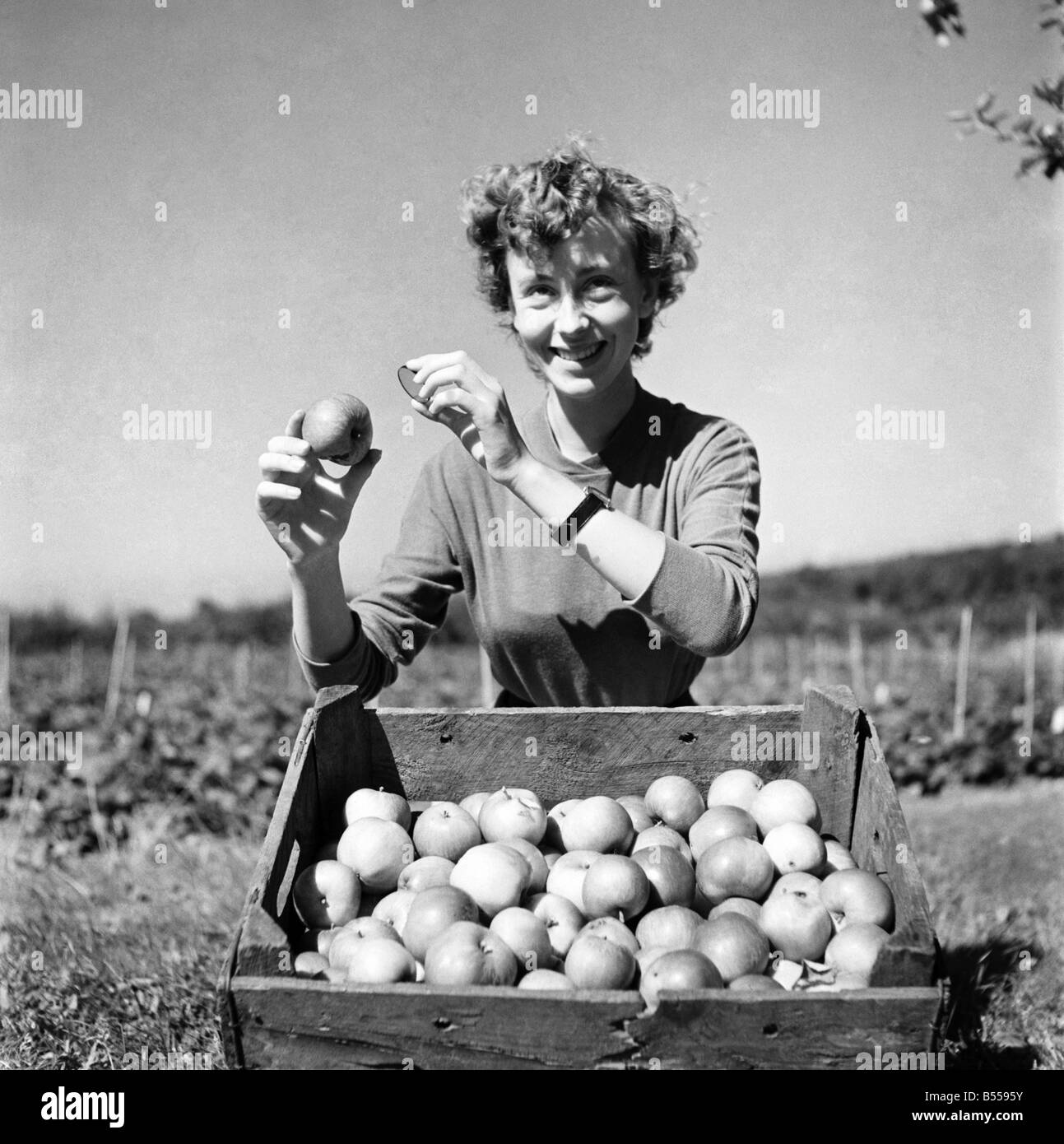 Long ashton research fruit hi-res stock photography and images - Alamy