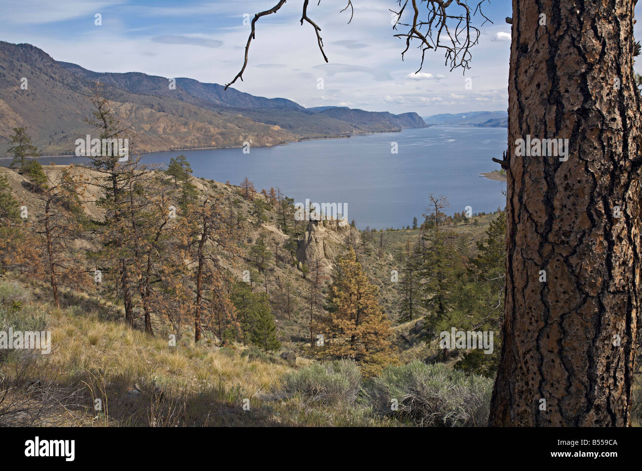 Desert in kamloops hi-res stock photography and images - Alamy