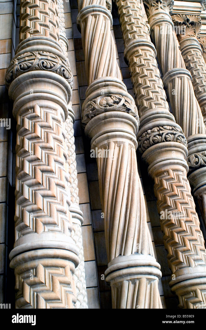 Victorian Columns at London Natural History Museum Stock Photo - Alamy