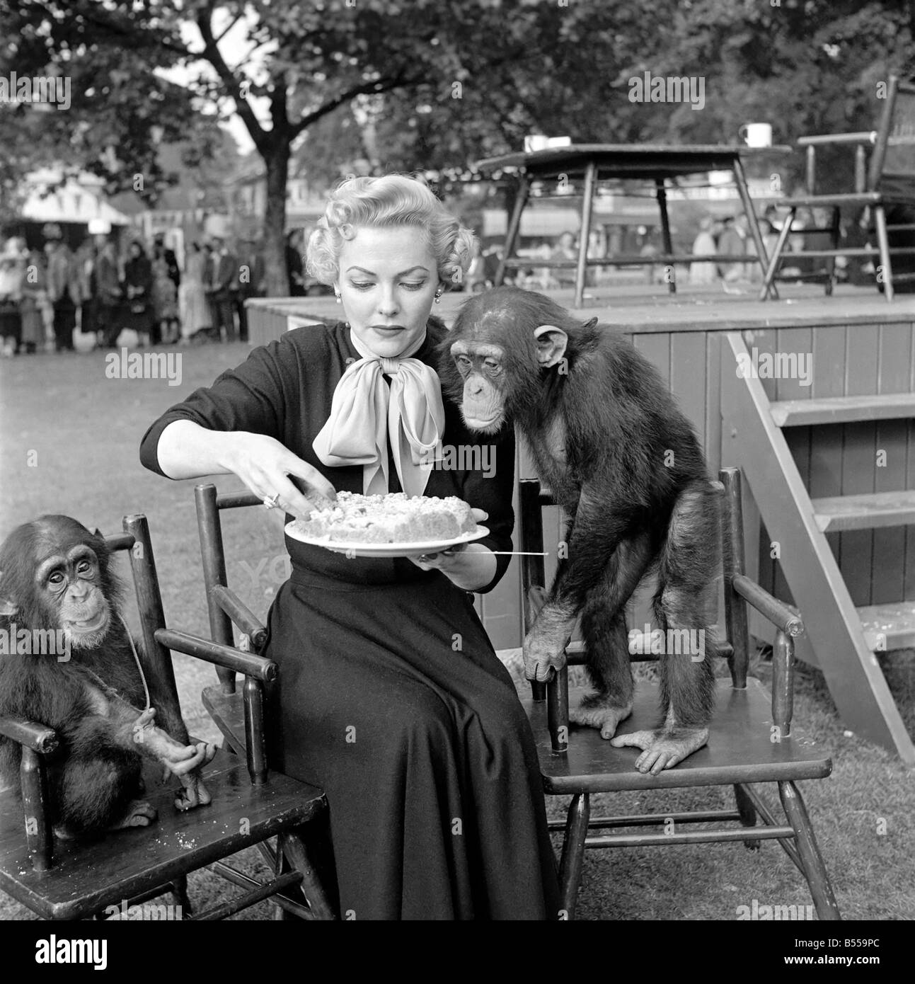 Animals: Monkeys. Miss Vivian Blaine of Guys and Dolls made a special ...