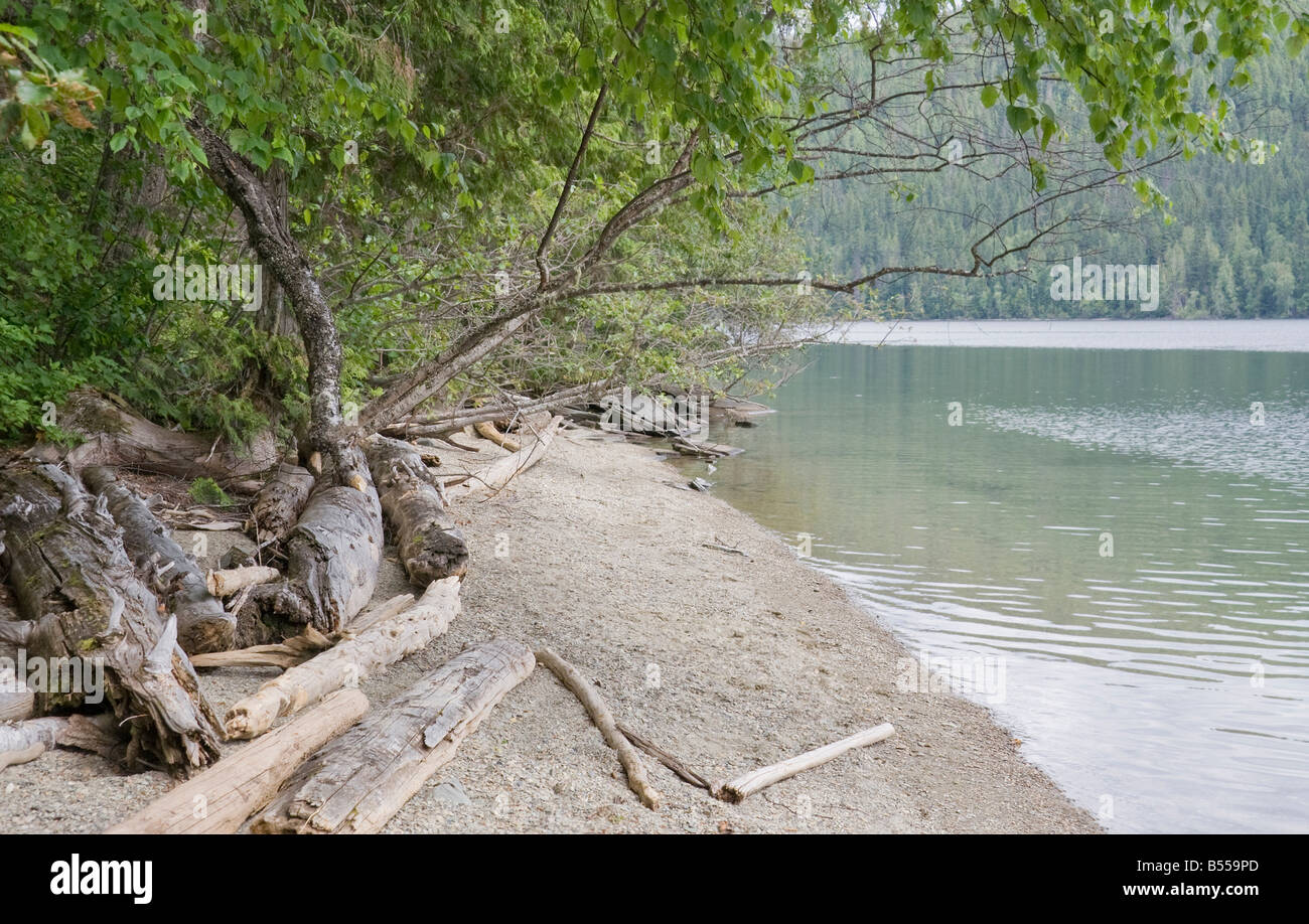 Shore Of Clearwater Lake Wells Gray Provincial Park British Columbia