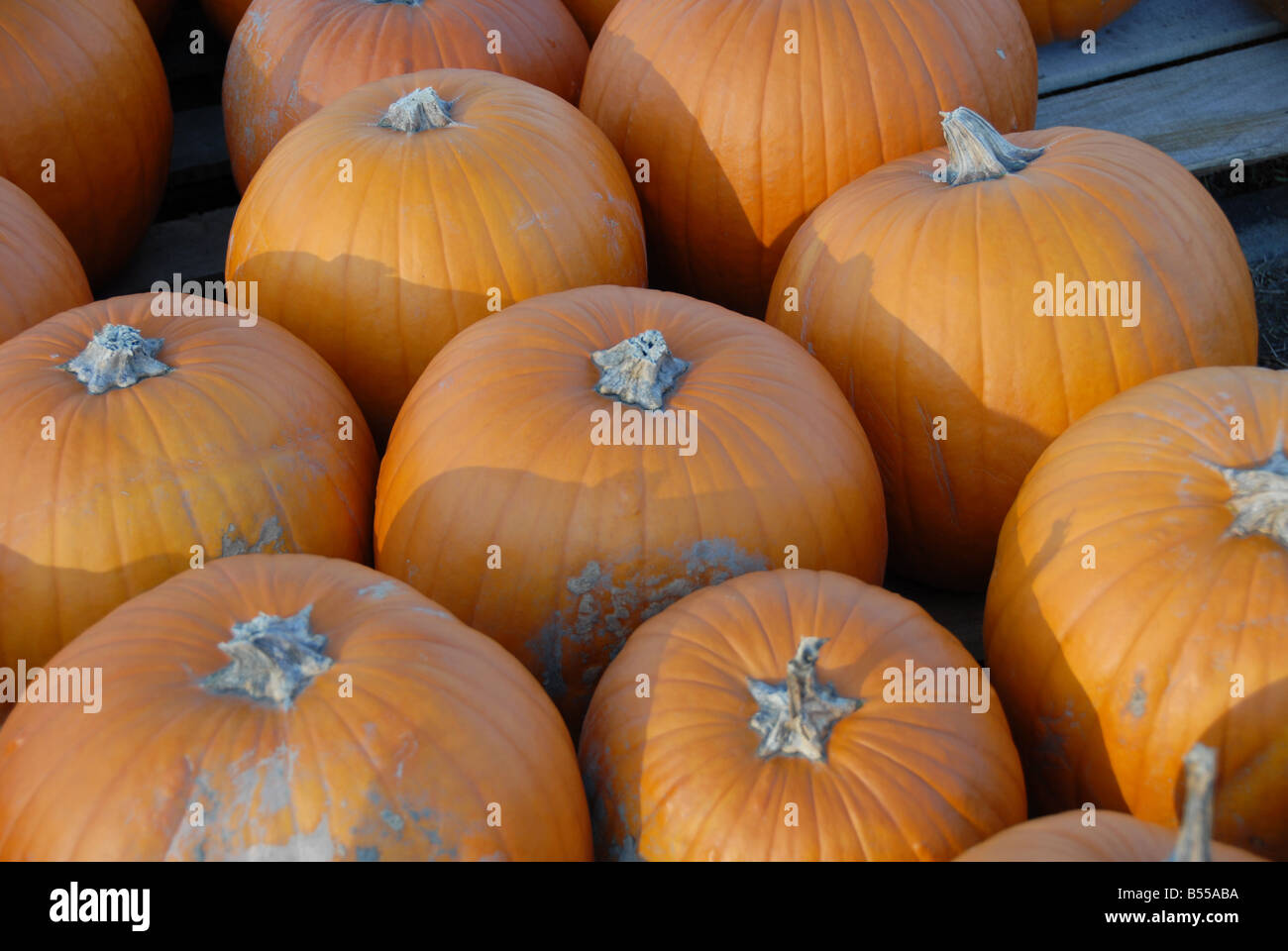 Number patch hi-res stock photography and images - Alamy