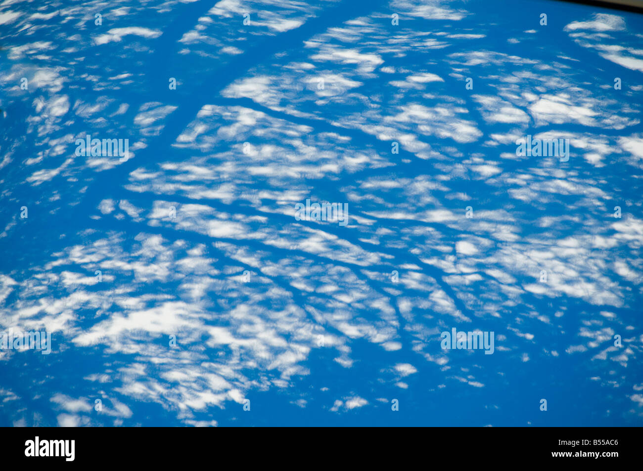 Blue shadow of tree limbs on pavement Stock Photo - Alamy