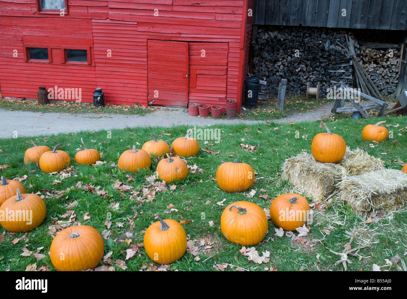 pumpkins on the ground in Vermont Stock Photo - Alamy