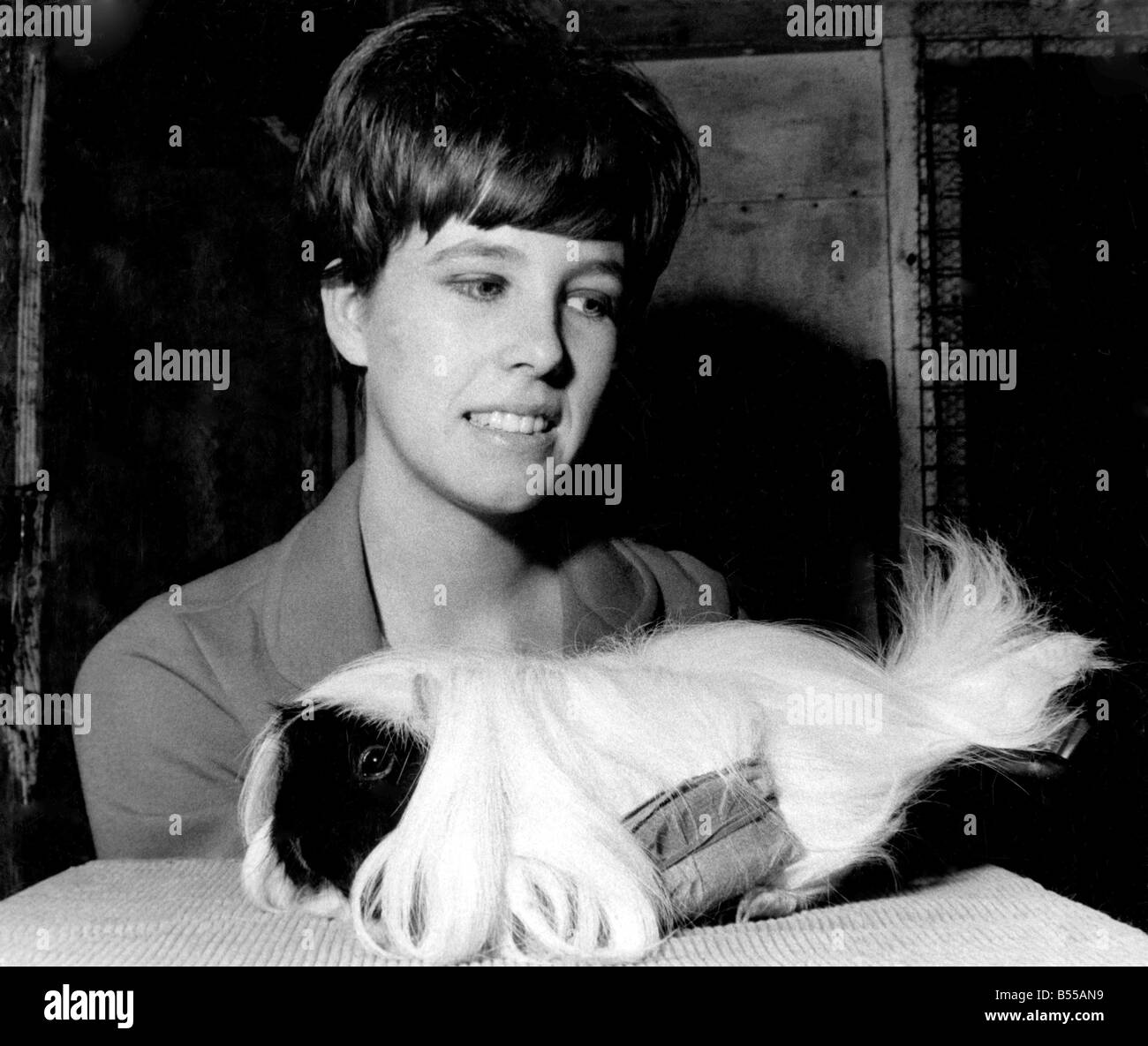 Miss Sandra Green age 20. with her Peruvian Guinea Pig dressesd in ...