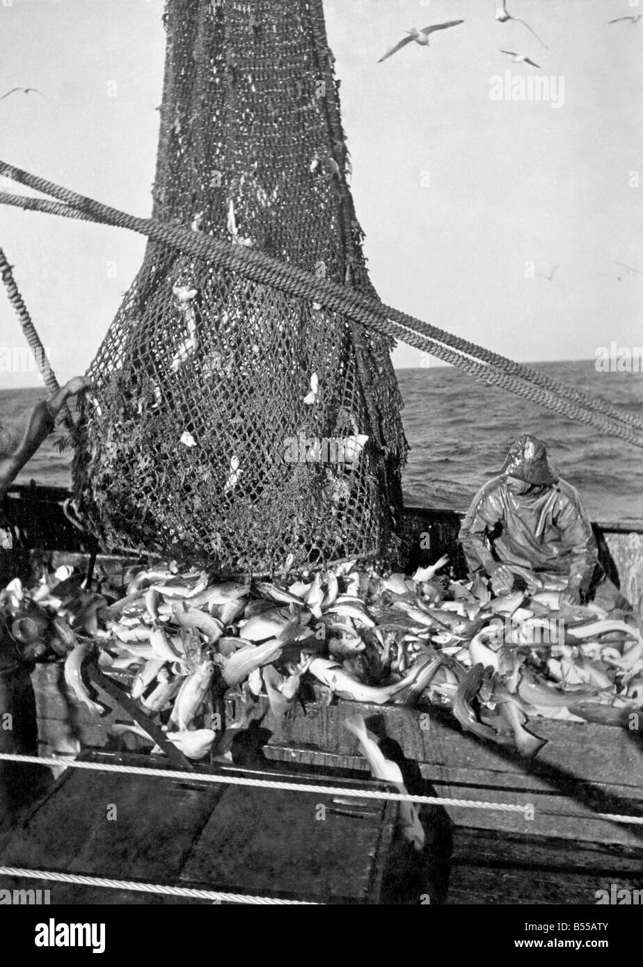 Trawlerman opens net of deep sea trawl off the coast following 5 hours ...