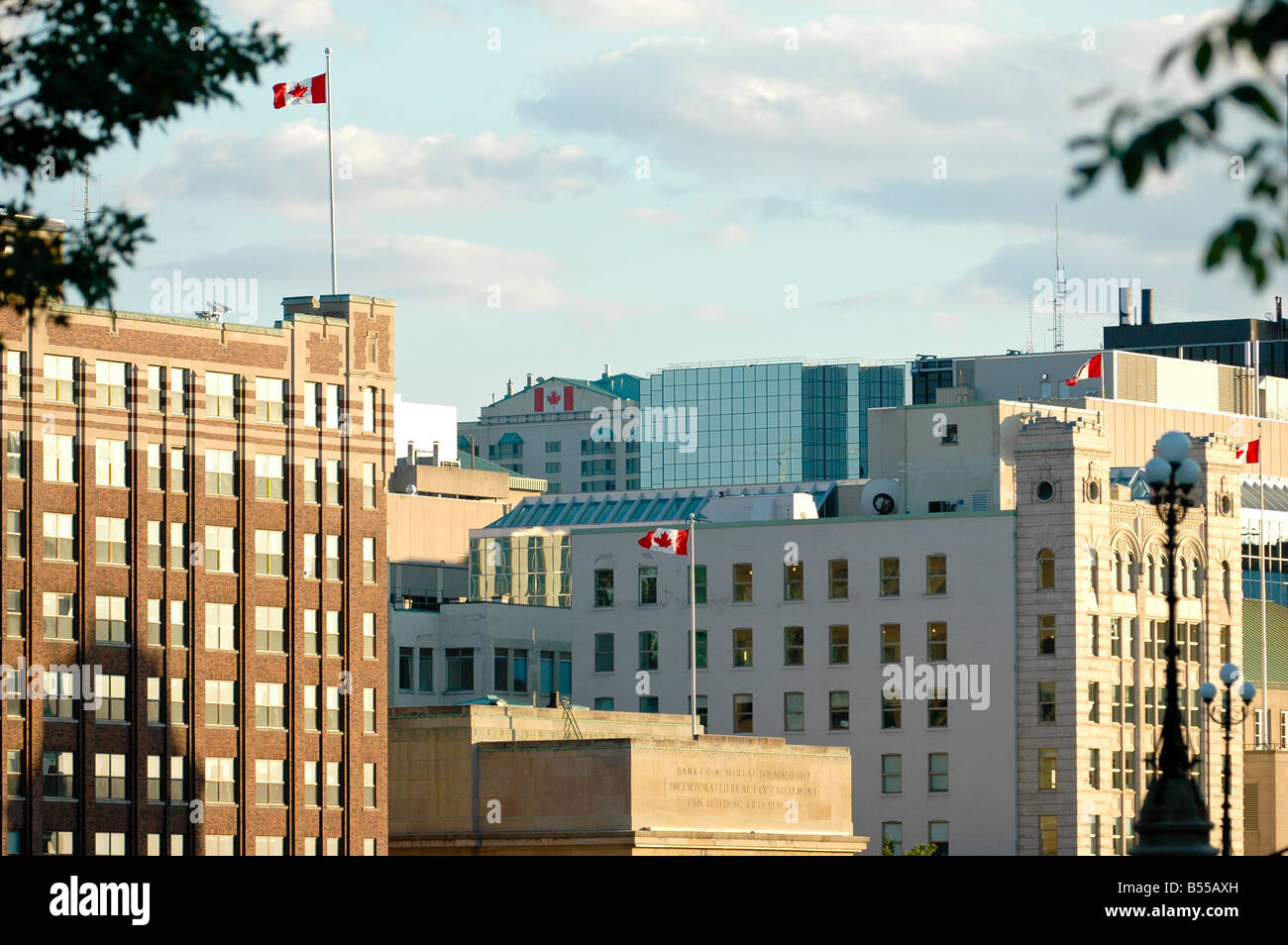 Many Canadian flags dotting the rooftops of downtown buildings in Ottawa, Ontario, Canada Stock ...