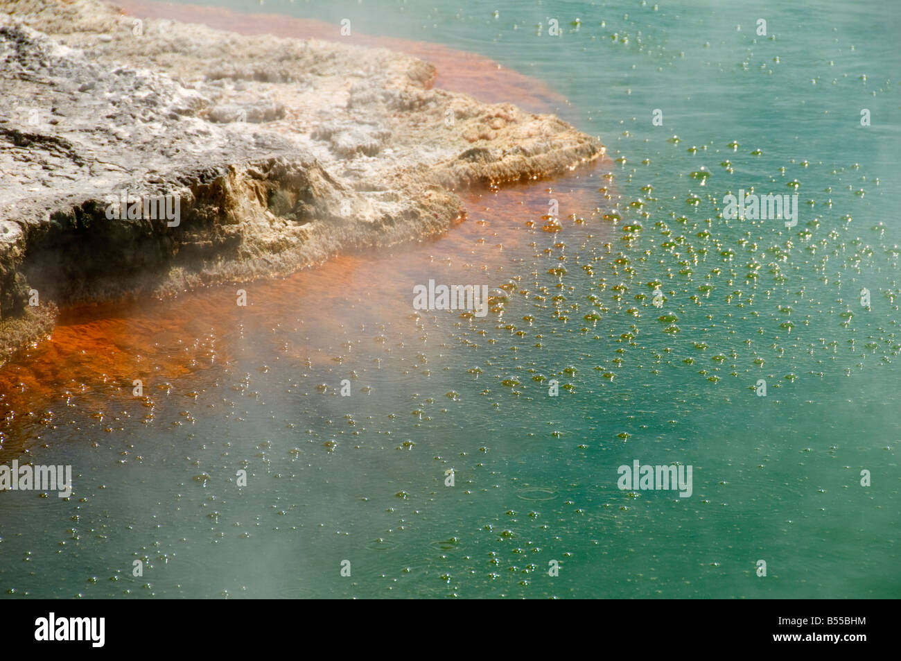 Boiling water at the Champagne Pool geothermal spring at the Wai-O-Tapu ...