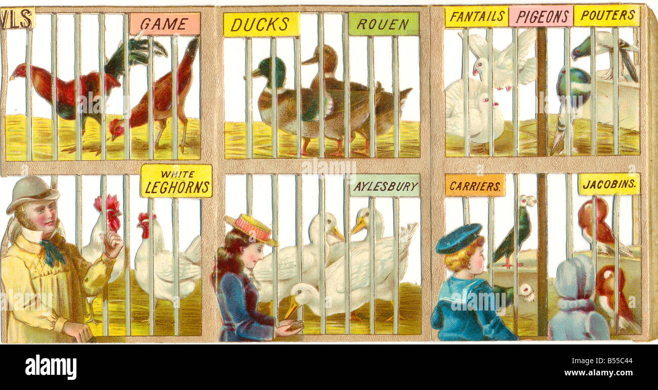 Raphael tuck & sons hi-res stock photography and images - Alamy